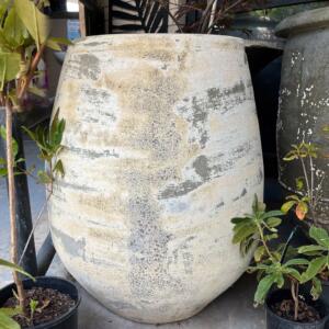 Thai Limestone Archives